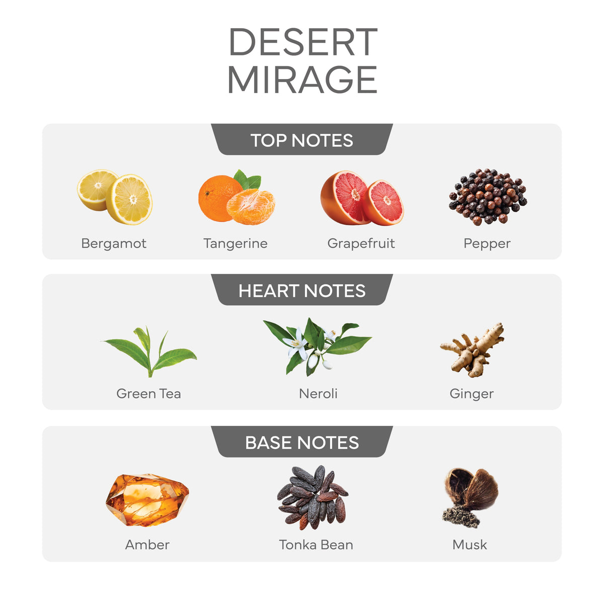 Desert Mirage - Leroza Fresh Citrus Aromatic for Men – LEROZA Perfumes