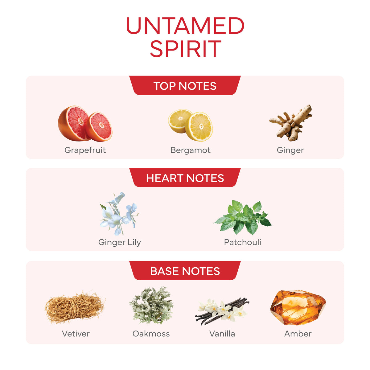 Untamed Spirit - Leroza Men's Citrus Woody Fragrance – LEROZA Perfumes